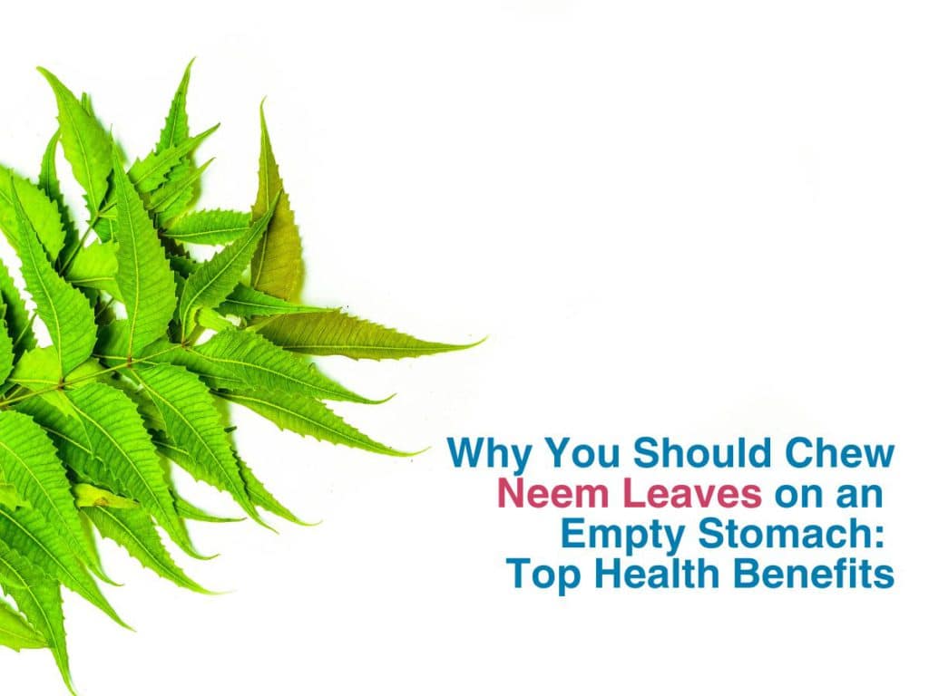 Why you Should Chew Neem Leaves on an Empty Stomach: Top Health ...