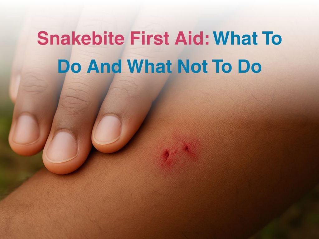 Snakebite First Aid: What To Do And What Not To Do