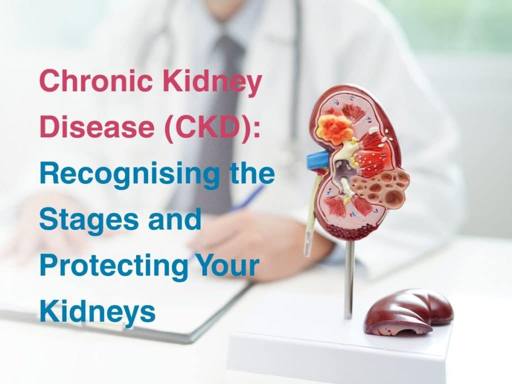 Chronic Kidney Disease (CKD): Recognising the Stages and Protecting ...